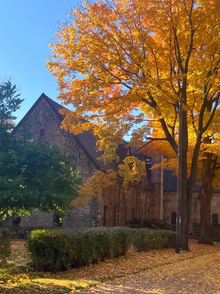 Events | Stay Informed Today — DeKoven Center