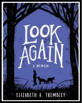 Look Again — Street Noise Books