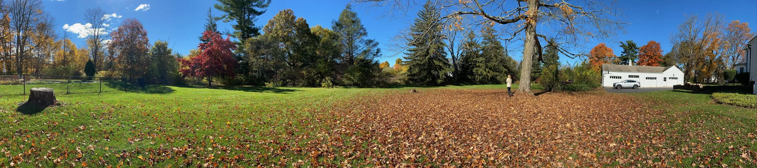 About Eileen Cavanaugh — MaBelle's Garden