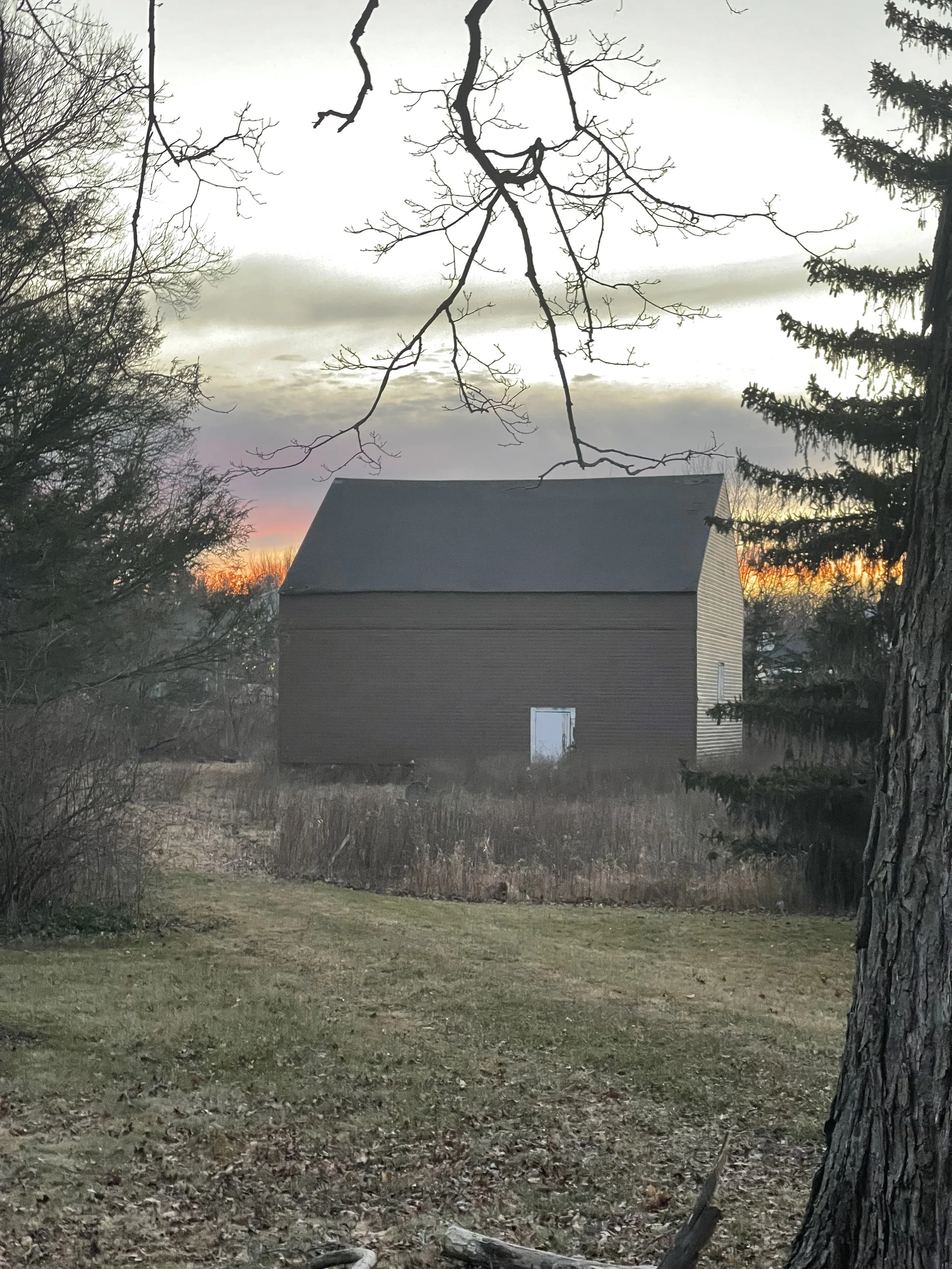 About Eileen Cavanaugh — MaBelle's Garden