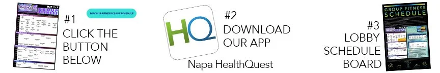 Schedule — HealthQuest