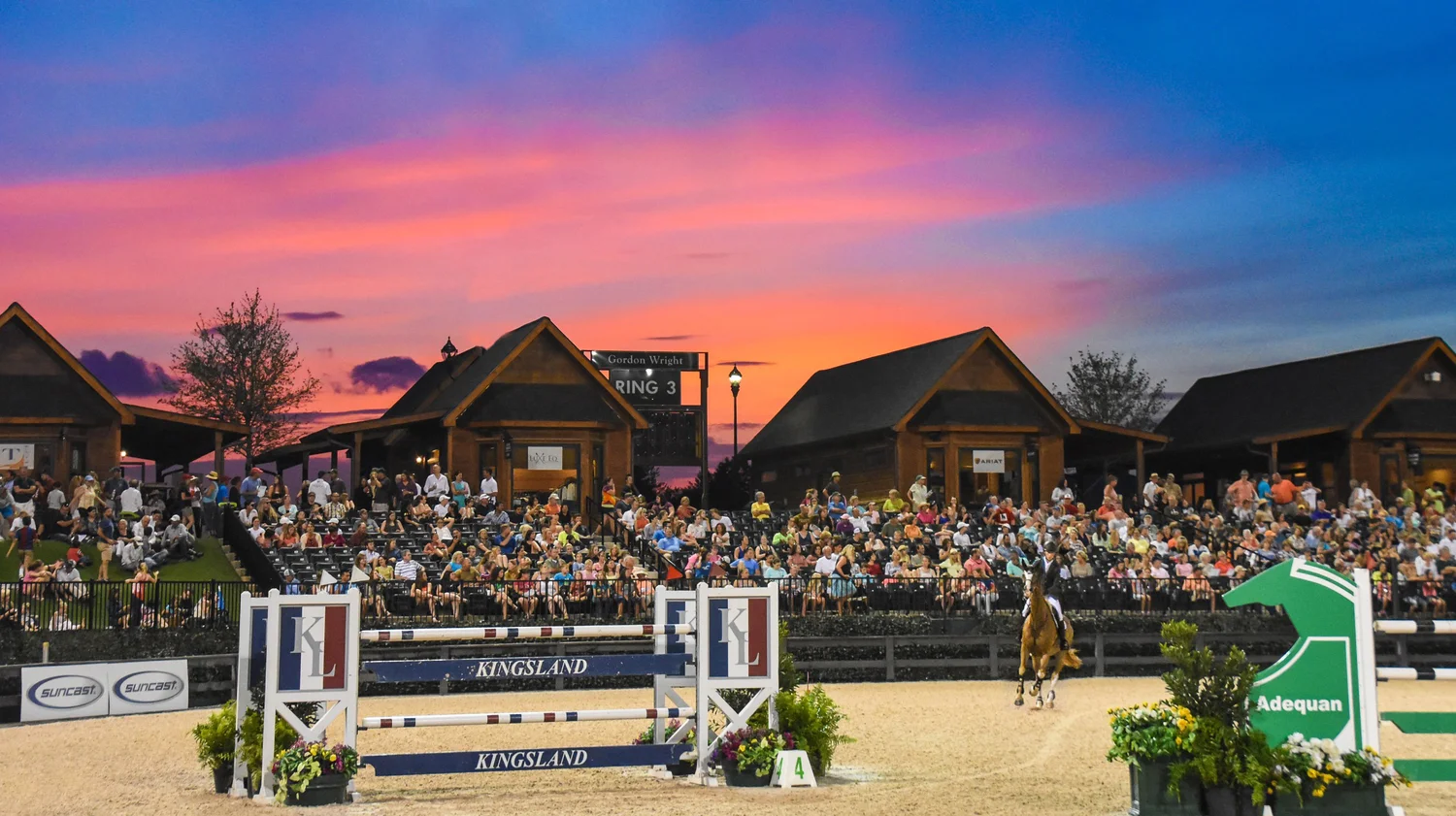 tryon stadium at george morris arena — BallParchitecture