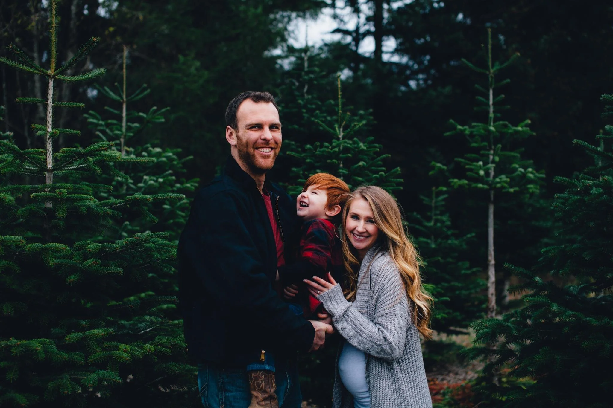 tree farm mini sessions near seattle — Anna Nodolf | Documentary Family ...