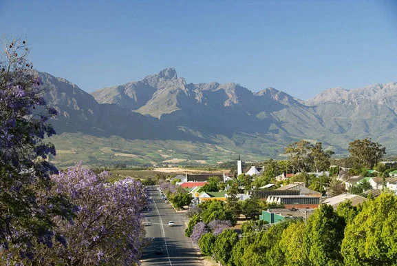 The Tulbagh Immersion — Private Safaris