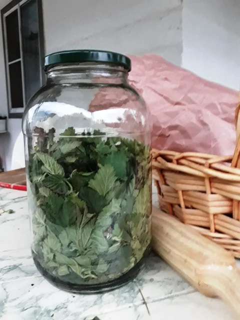 Homwgrown Blackberry Leaf Tea — Windellama Organics