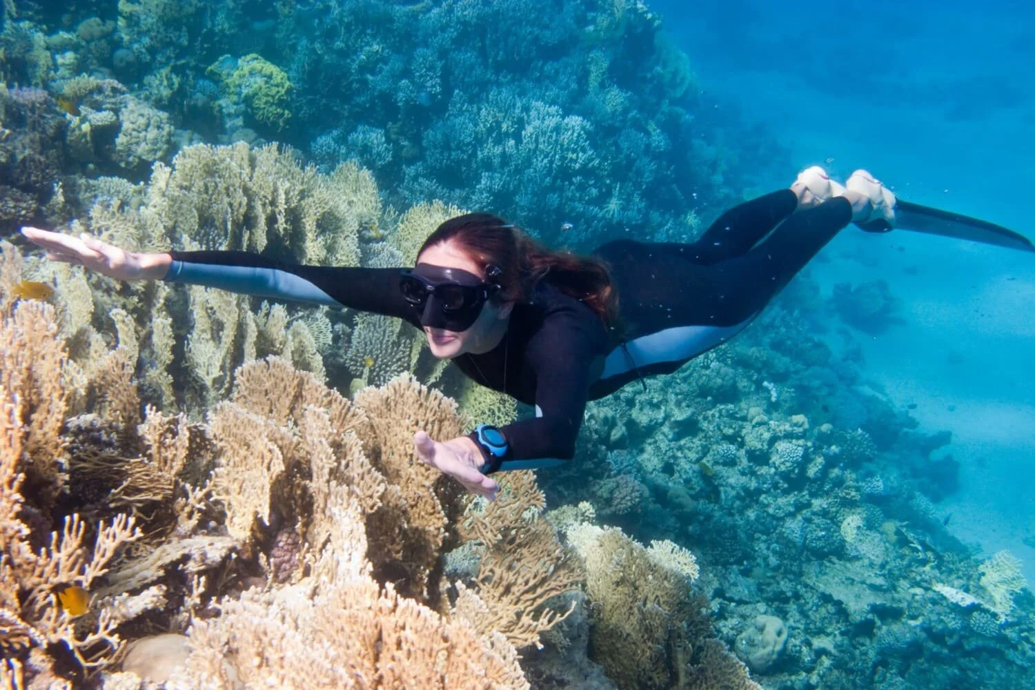 Best Freediving Watches [2025 UPDATE] — Ultimate Gear Lists