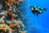 The Ultimate Scuba Diving Glossary — Ultimate Gear Lists