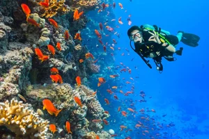 The Ultimate Scuba Diving Glossary — Ultimate Gear Lists