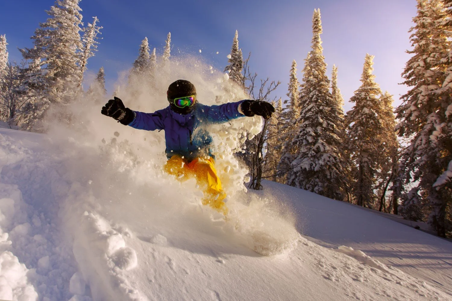 Ultimate Guide to the Different Types of Snowboards — Ultimate Gear Lists