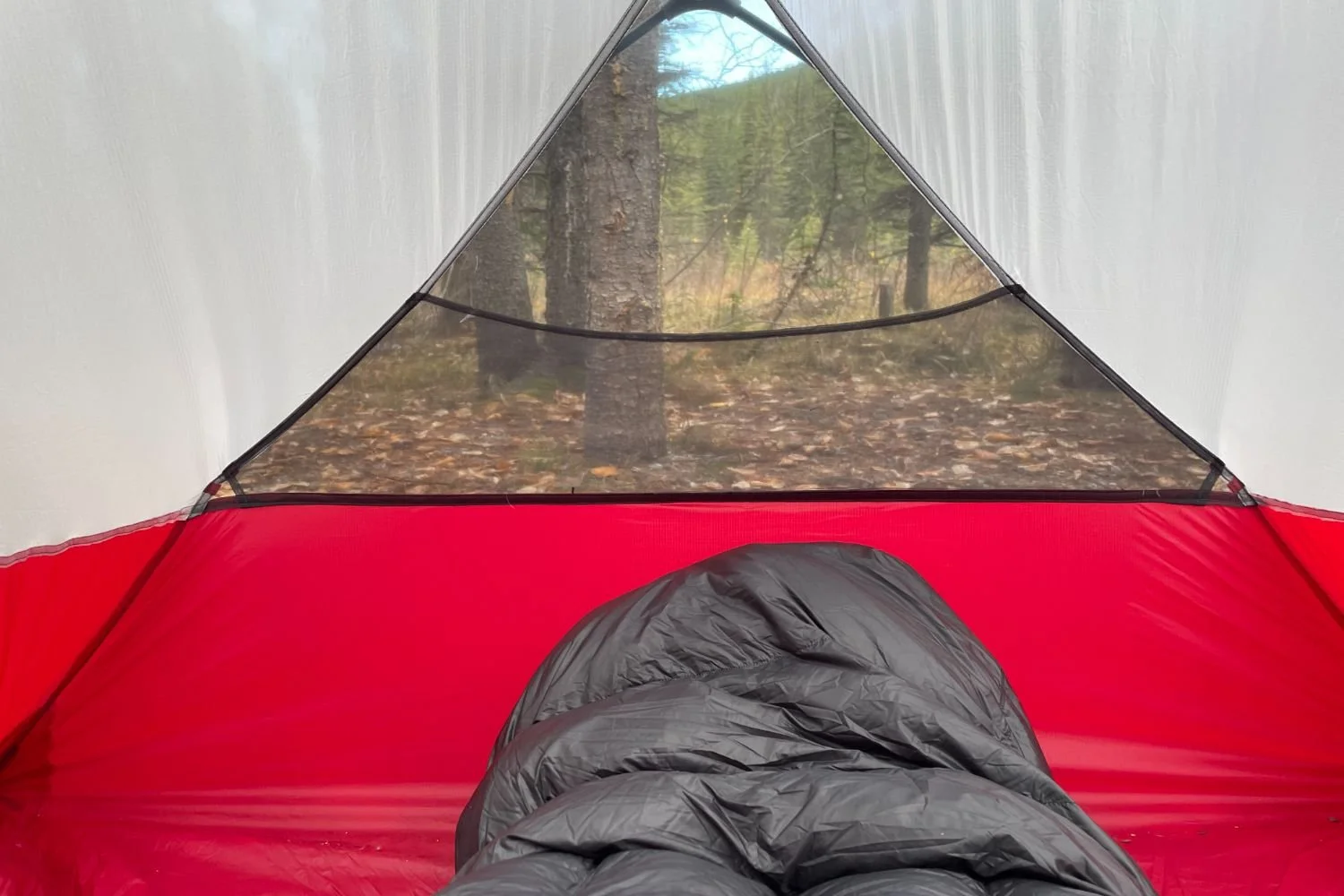 MSR Hubba Hubba 2 Tent Review — Ultimate Gear Lists