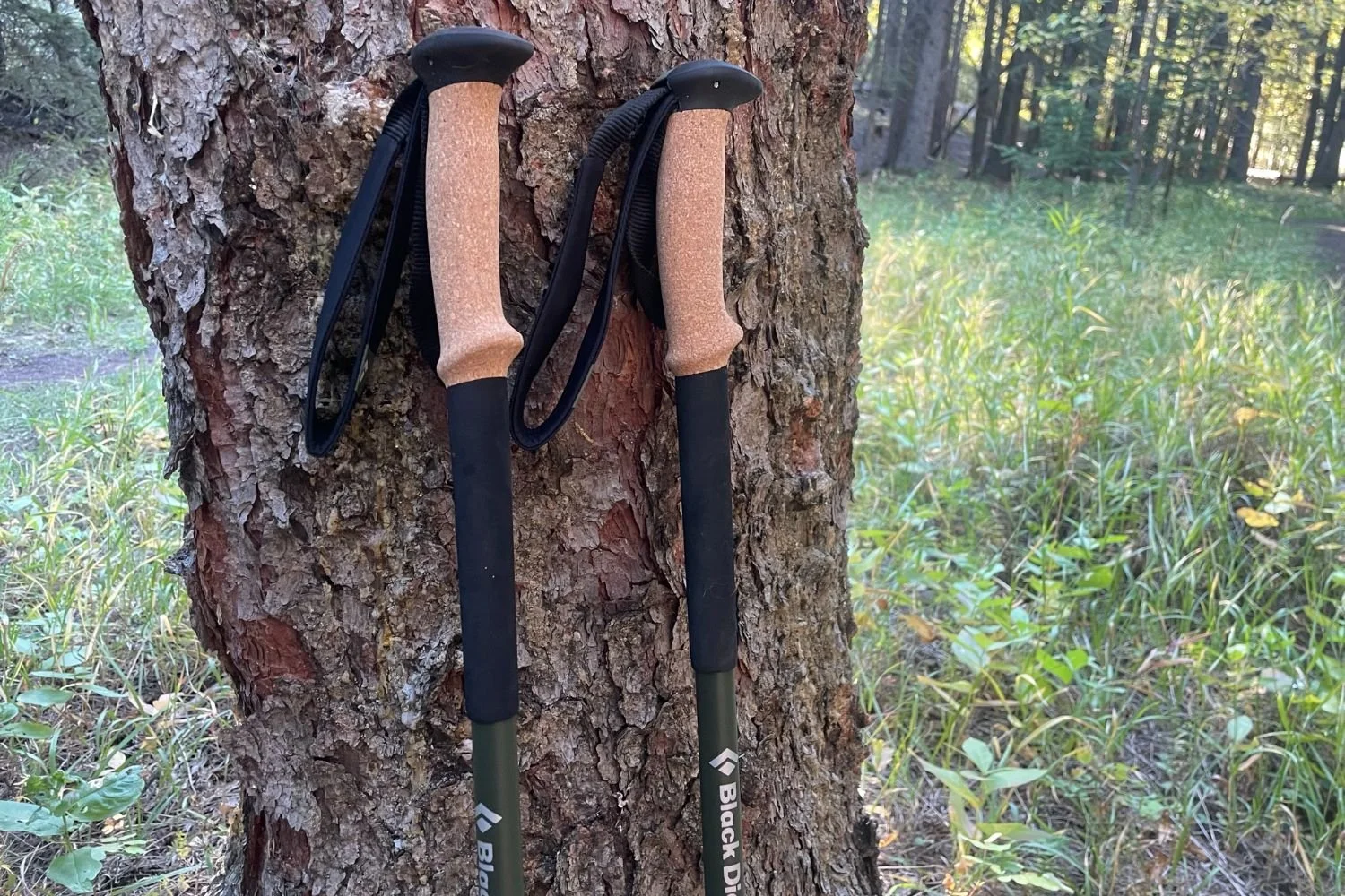 Black Diamond Alpine Carbon Cork Trekking Pole Review — Ultimate Gear Lists