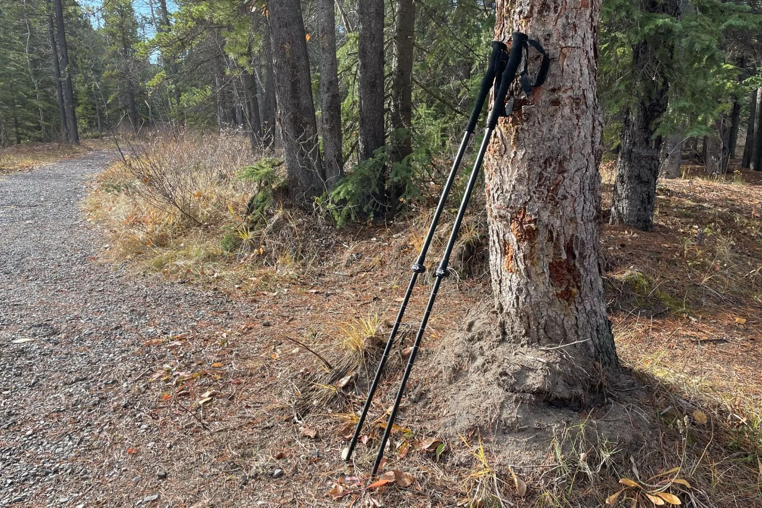 CMT Ultralight Carbon Fiber Trekking Poles Review — Ultimate Gear Lists