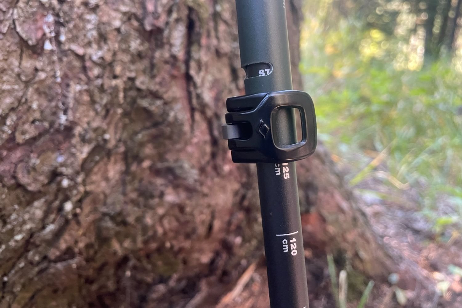 Black Diamond Alpine Carbon Cork Trekking Pole Review — Ultimate Gear Lists