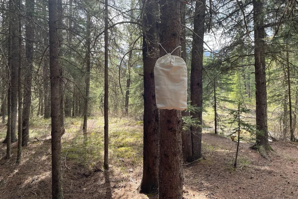 Ursack AllMitey Bear Bag Review — Ultimate Gear Lists