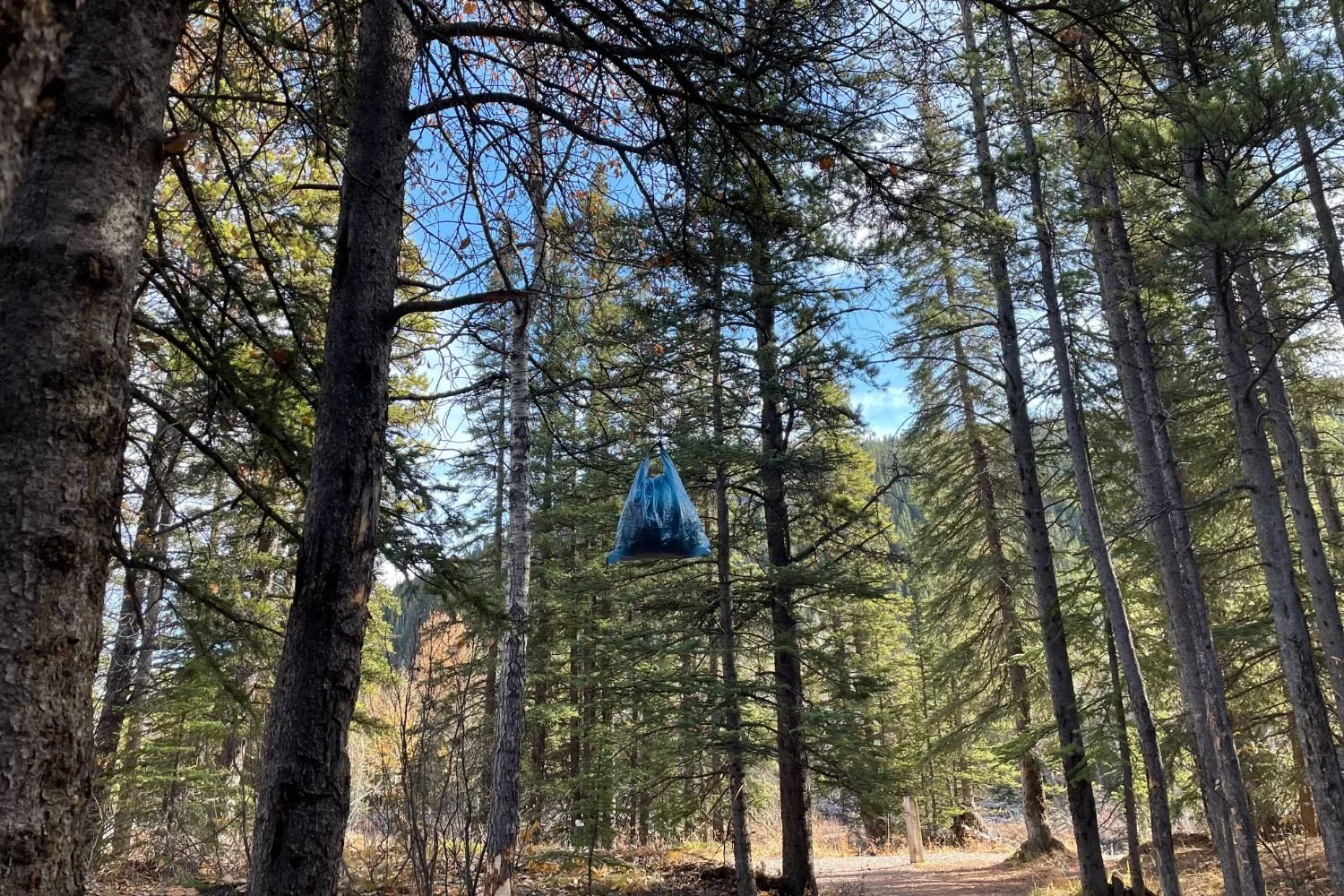 Zpacks Bear Bagging Kit Review — Ultimate Gear Lists