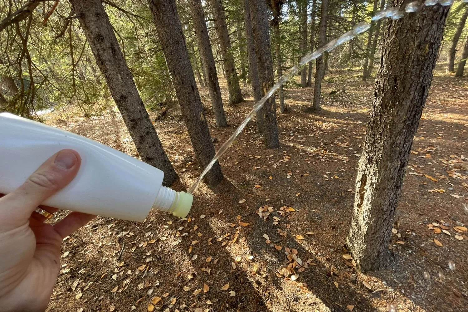 Best Portable Bidets [2023 UPDATE] — Ultimate Gear Lists