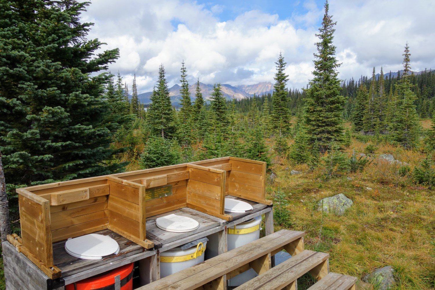 Best Biodegradable Soaps [2024 UPDATE] — Ultimate Gear Lists