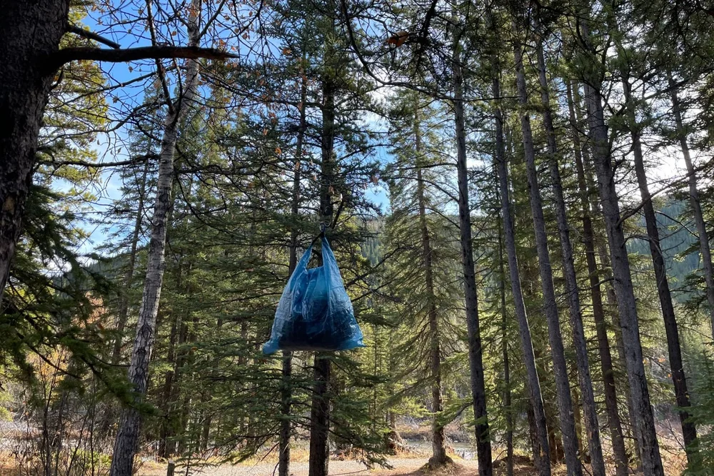 Best Bear Bags [2024 UPDATE] — Ultimate Gear Lists