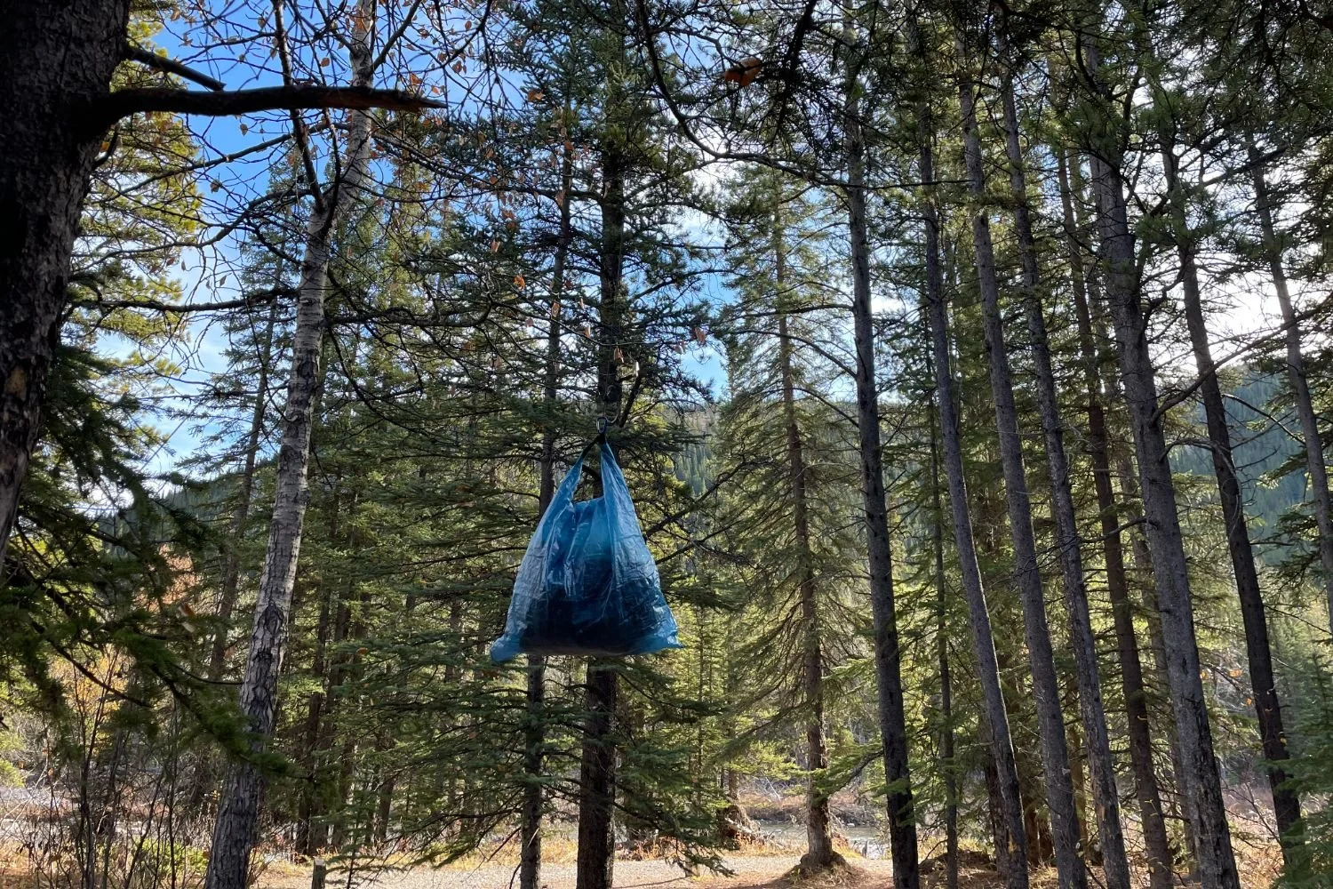 Best Bear Bags [2024 UPDATE] — Ultimate Gear Lists