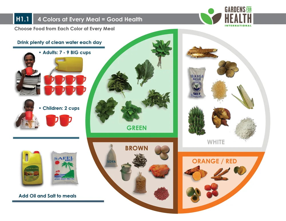 Dietary Diversity's Importance in Nutrition Programming — Gardens for ...