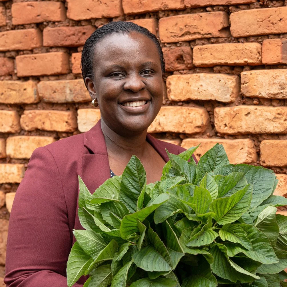 About Us — Gardens for Health International