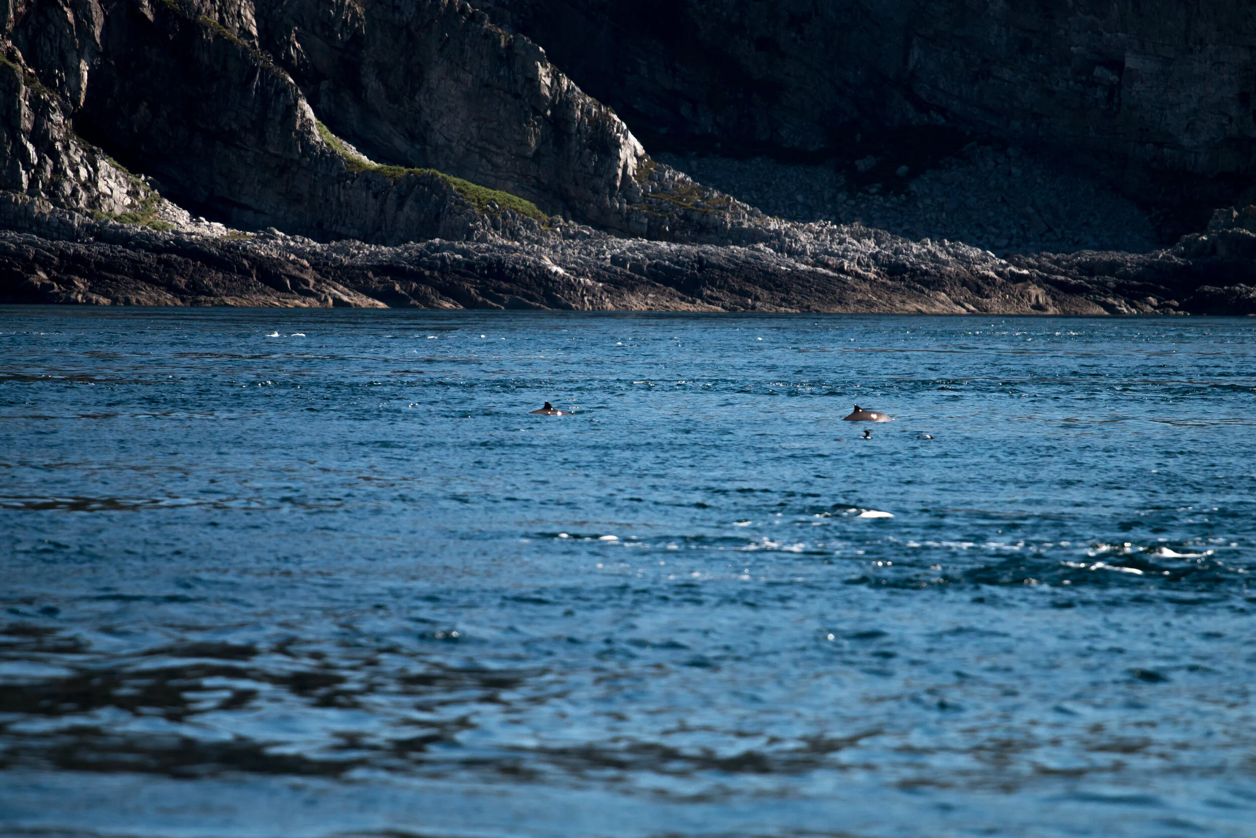 Corryvreckan Maelstrom