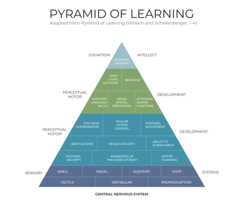 How To Manage Memory Loss Strain In Adults - Brain Harmony