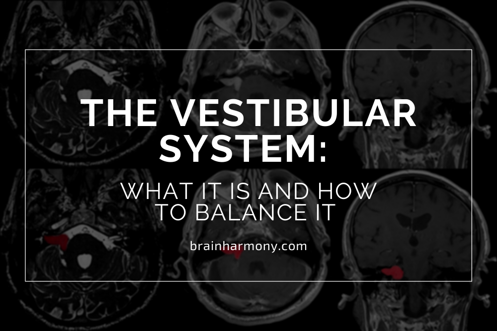 vestibular sense involves