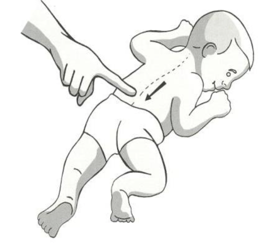 How To Correct Bedwetting and Urinary Incontinence - Brain Harmony