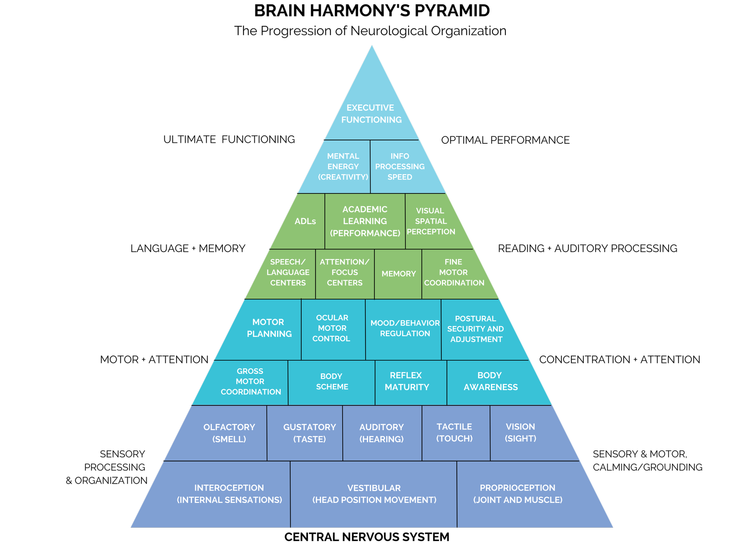 Science of Neuroplasticity - Brain Harmony