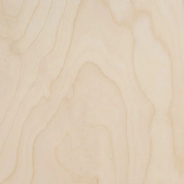 Birch Plywood Texture