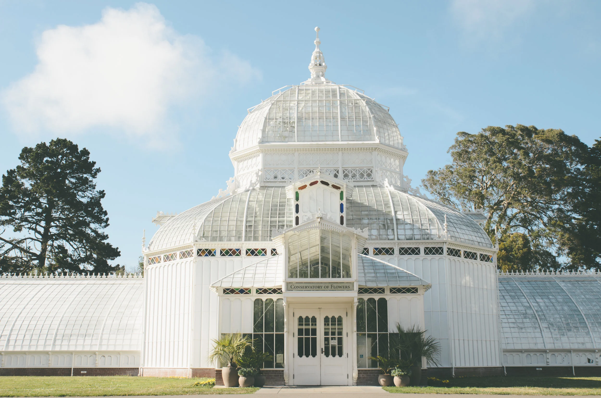 Conservatory of Flowers — Betty Zlatchin