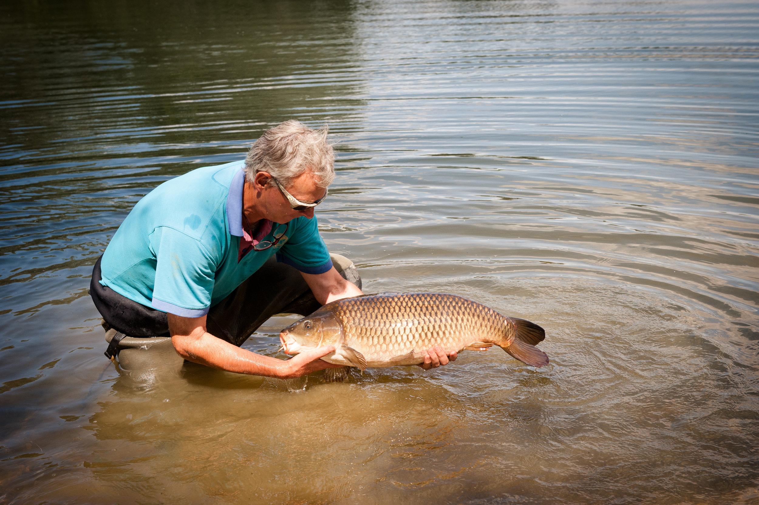 New fish stock! — Sibson Fisheries