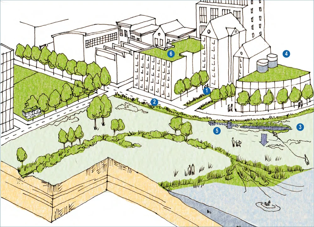 Stormwater Design Guidelines — Lotus Water
