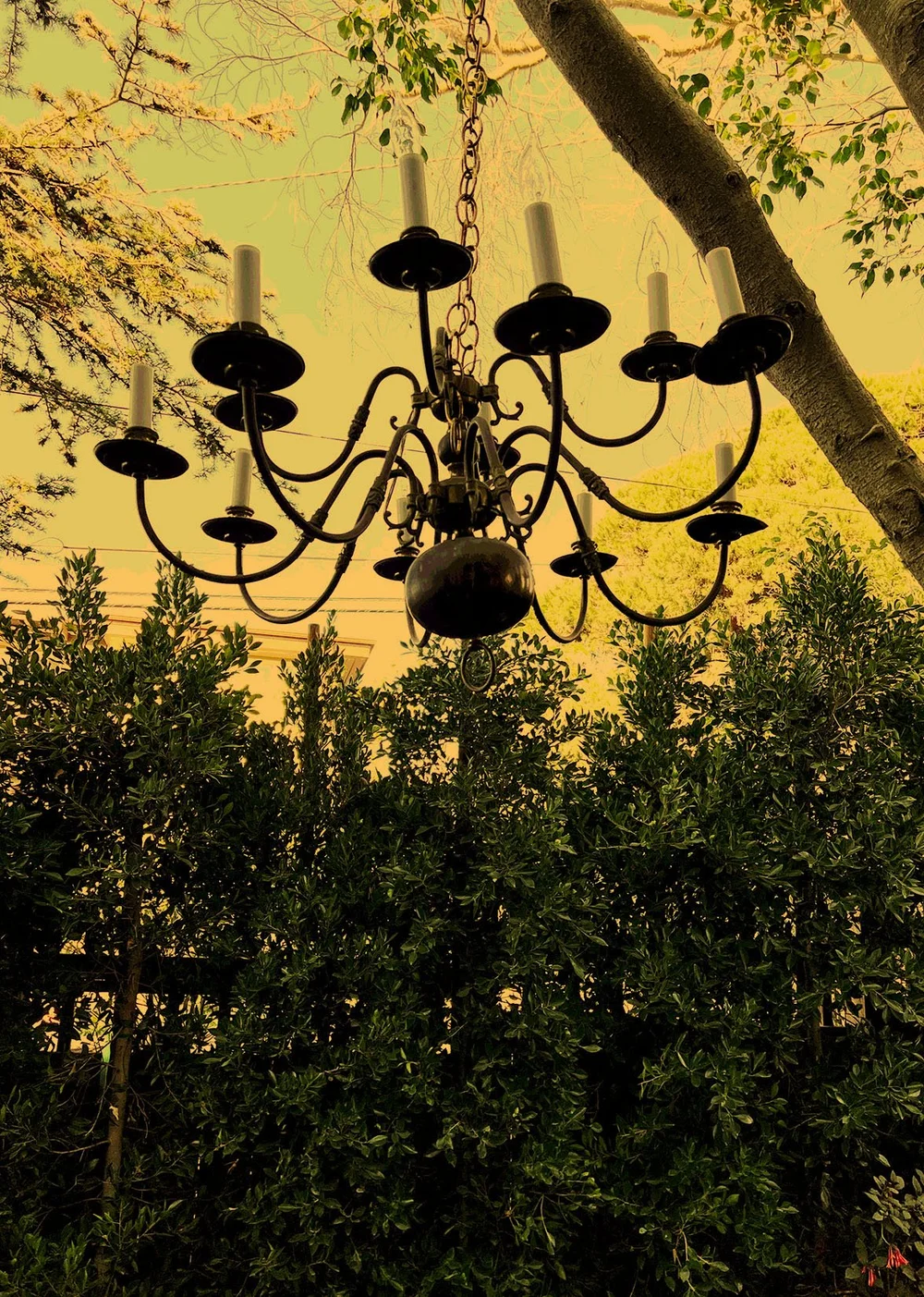 Infinite Sky Landscape Design