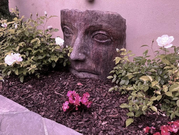 Best Landscape Designer in San Diego | Infinite Sky Landscape Design