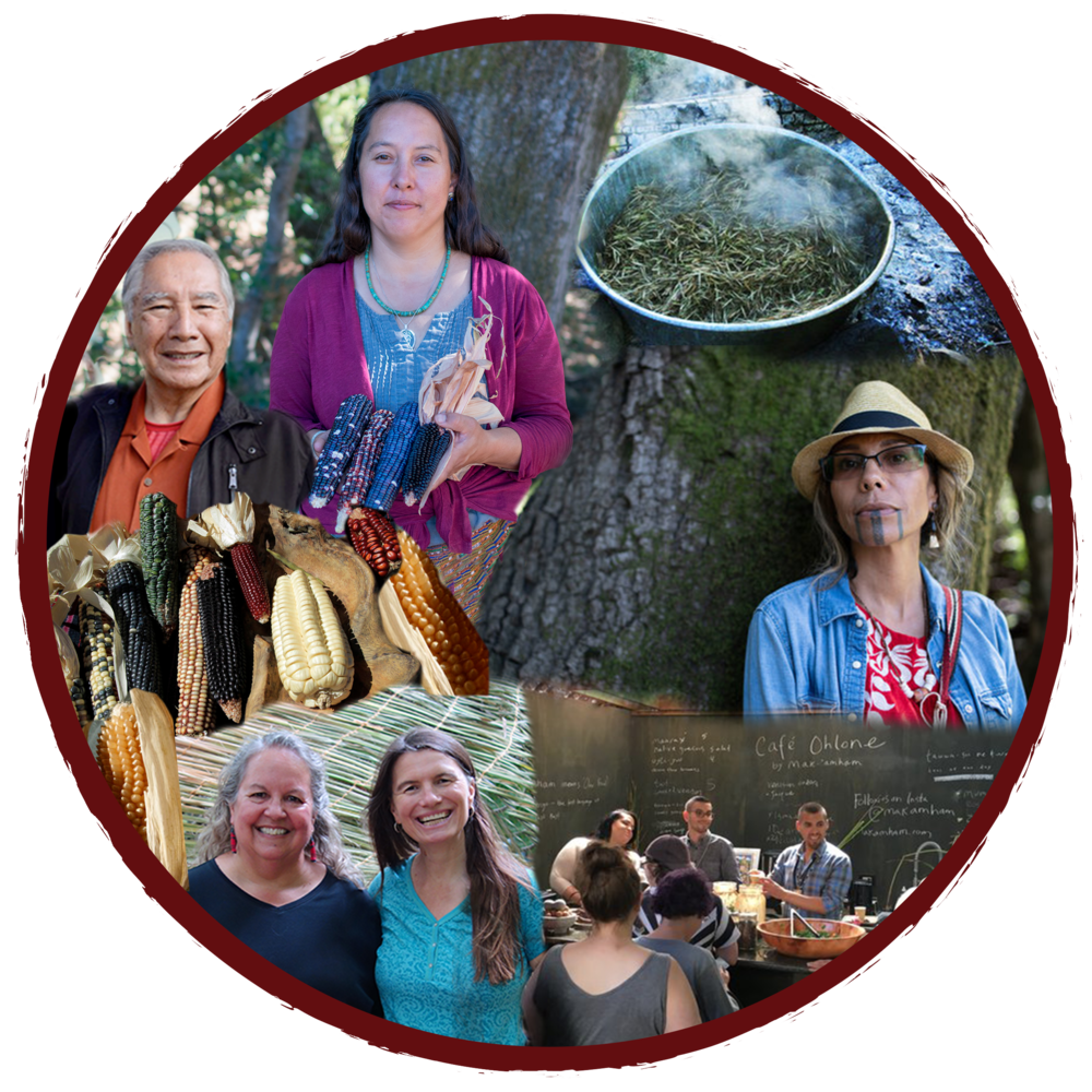 About — The Native Seed Pod