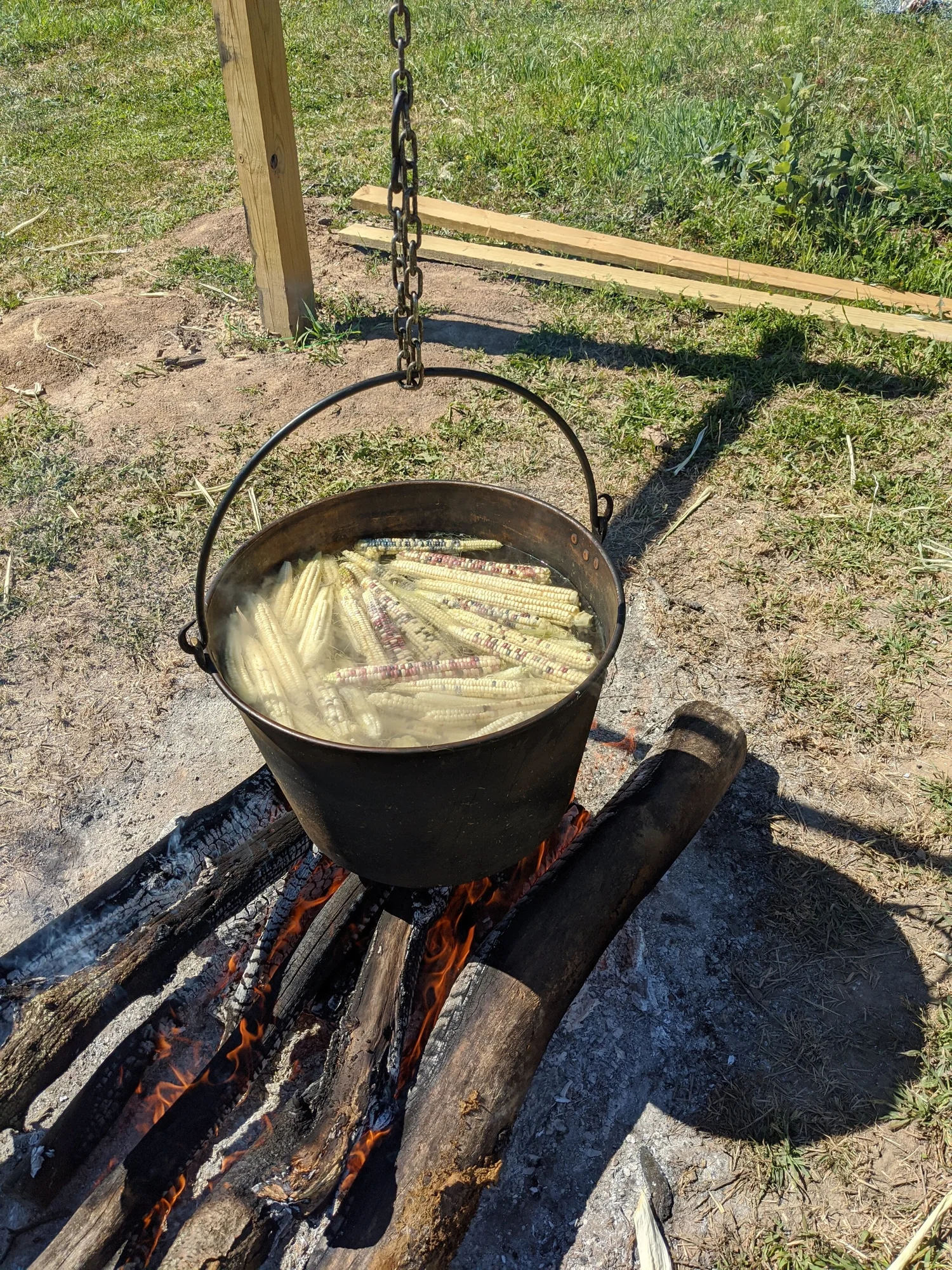 Seed Rematriation with Shelley Buffalo — The Native Seed Pod