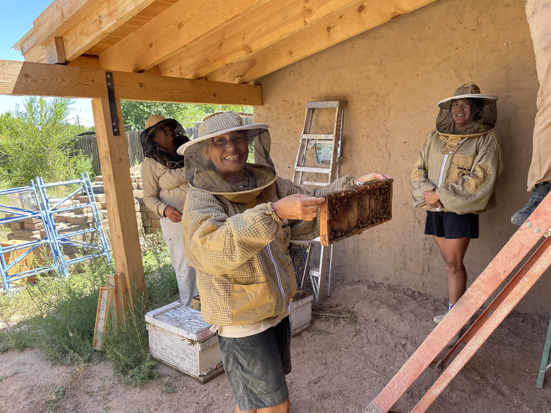 Knowledge Symbiosis with Roxanne Swentzell and Anne LaForti — The ...