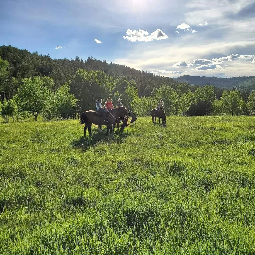 Horseback Trail Rides — Granite Creek Ranch