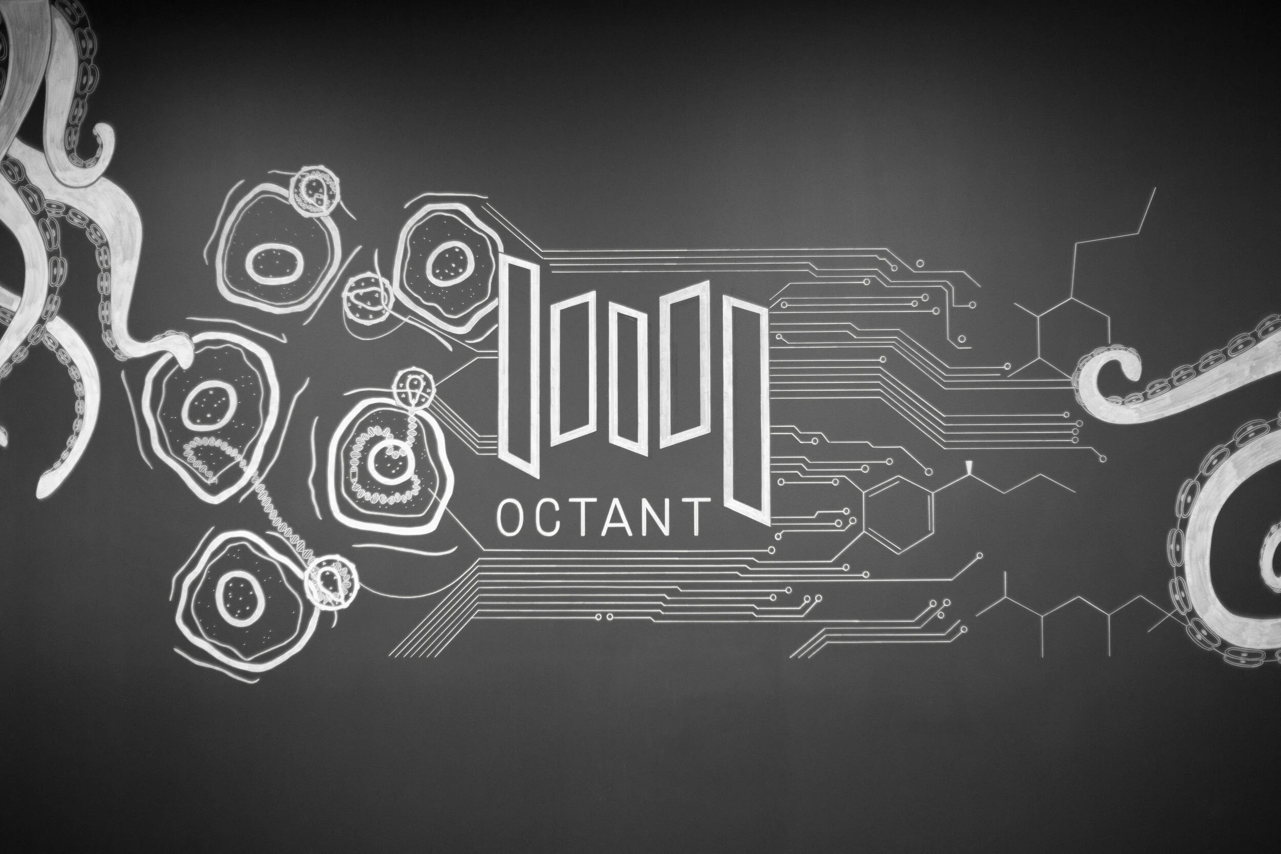 About — Octant