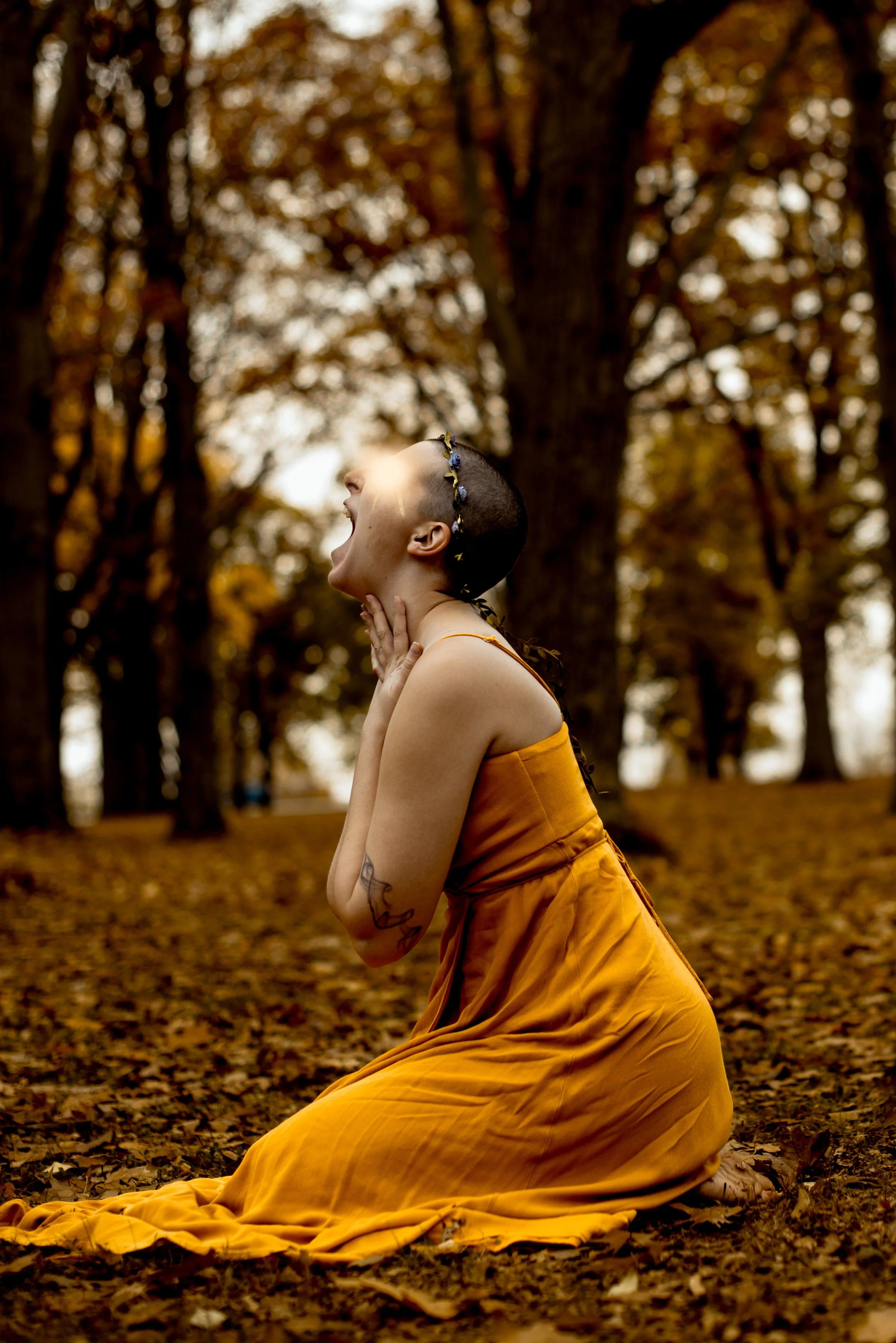 About the Photographer — IMPASSIONED ART