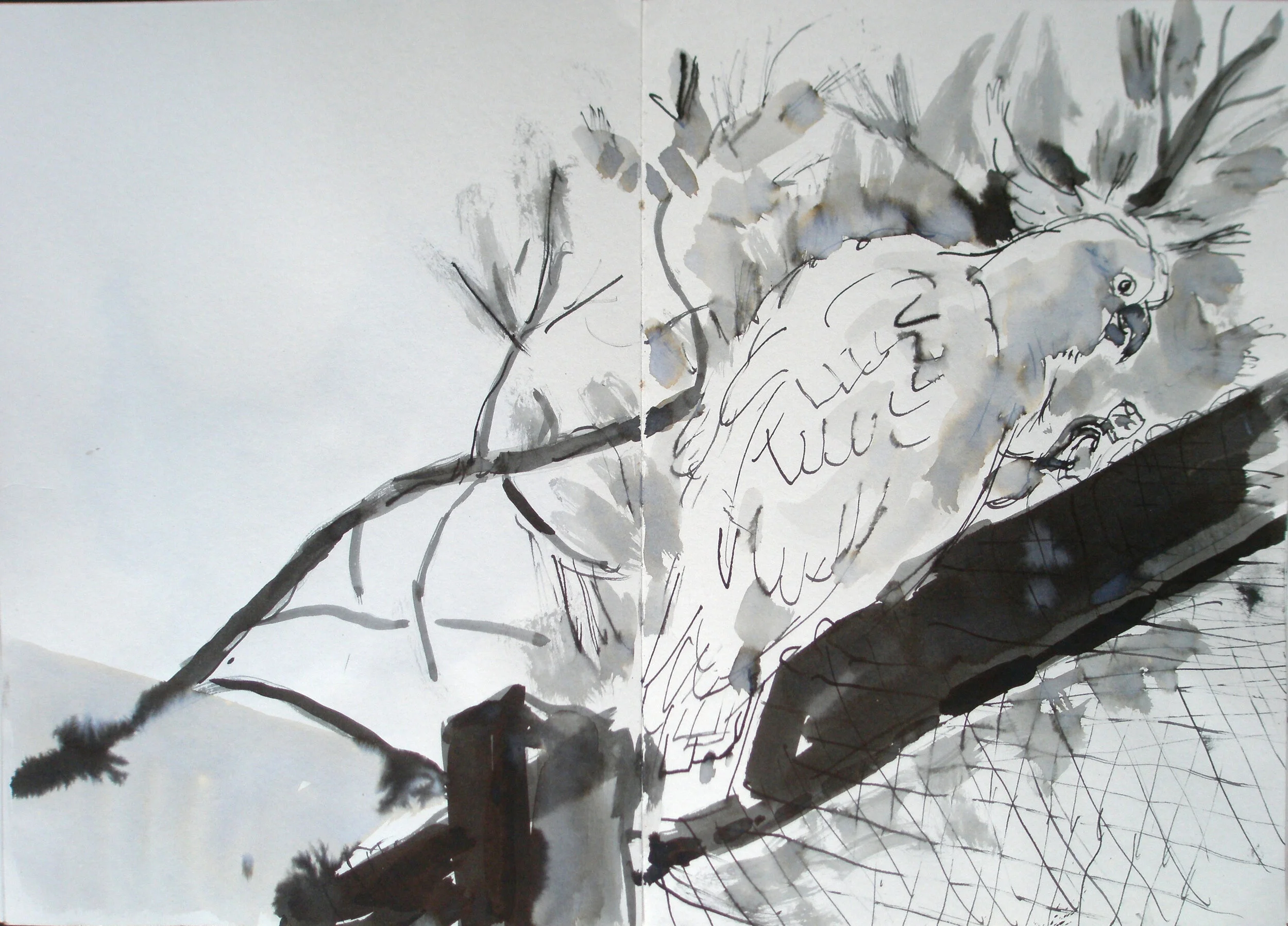 Drawings — Richard Collins