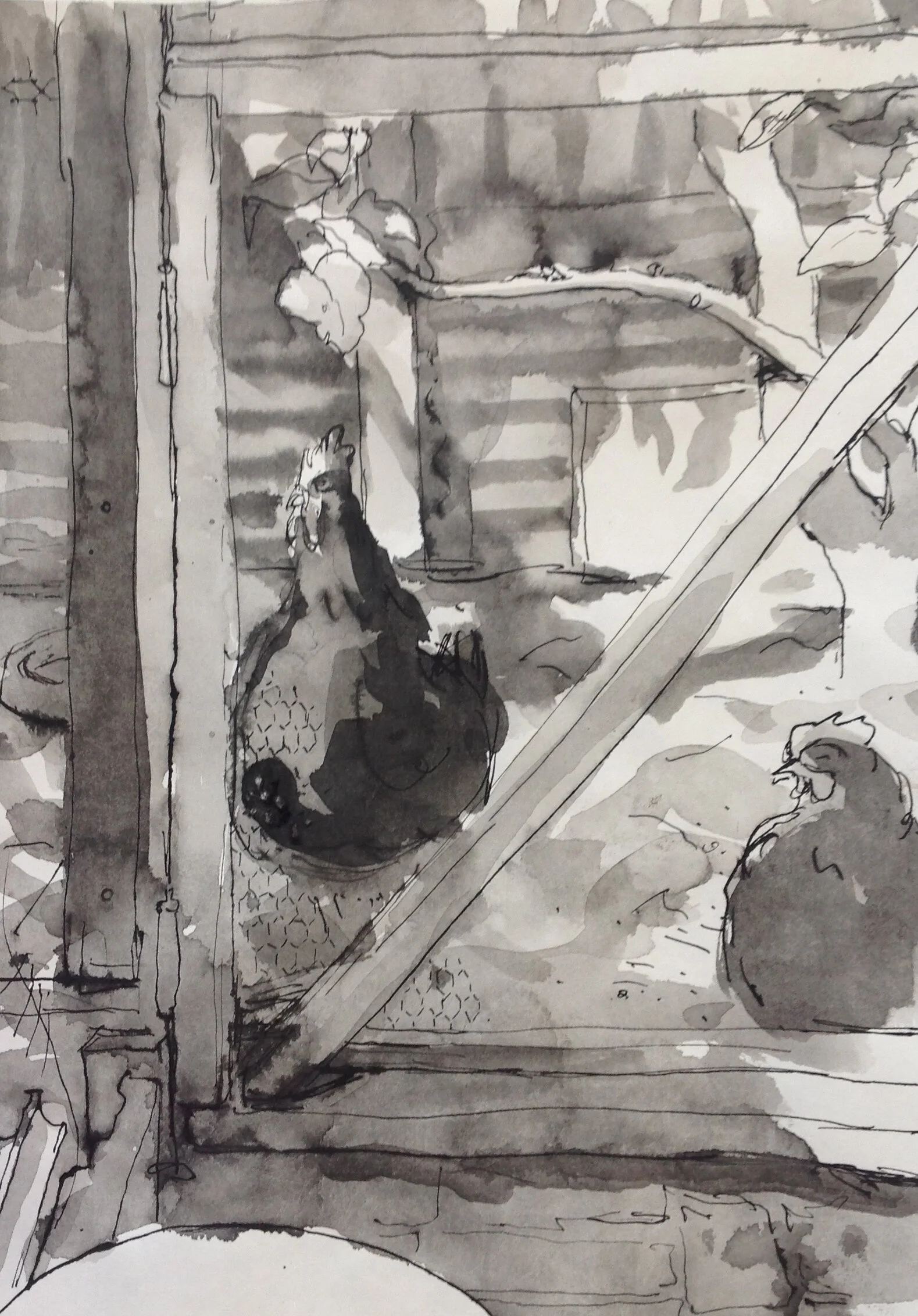 Drawings — Richard Collins