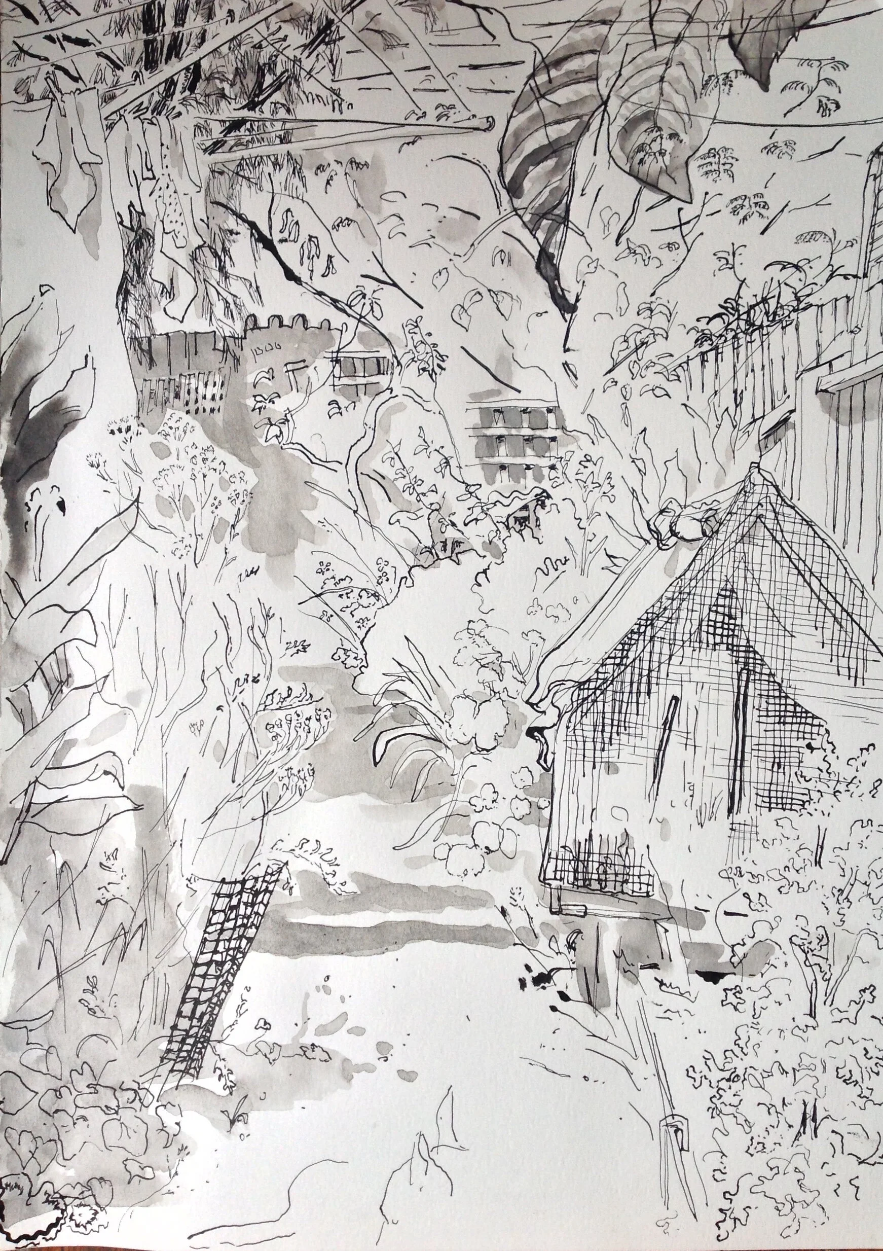 Drawings — Richard Collins