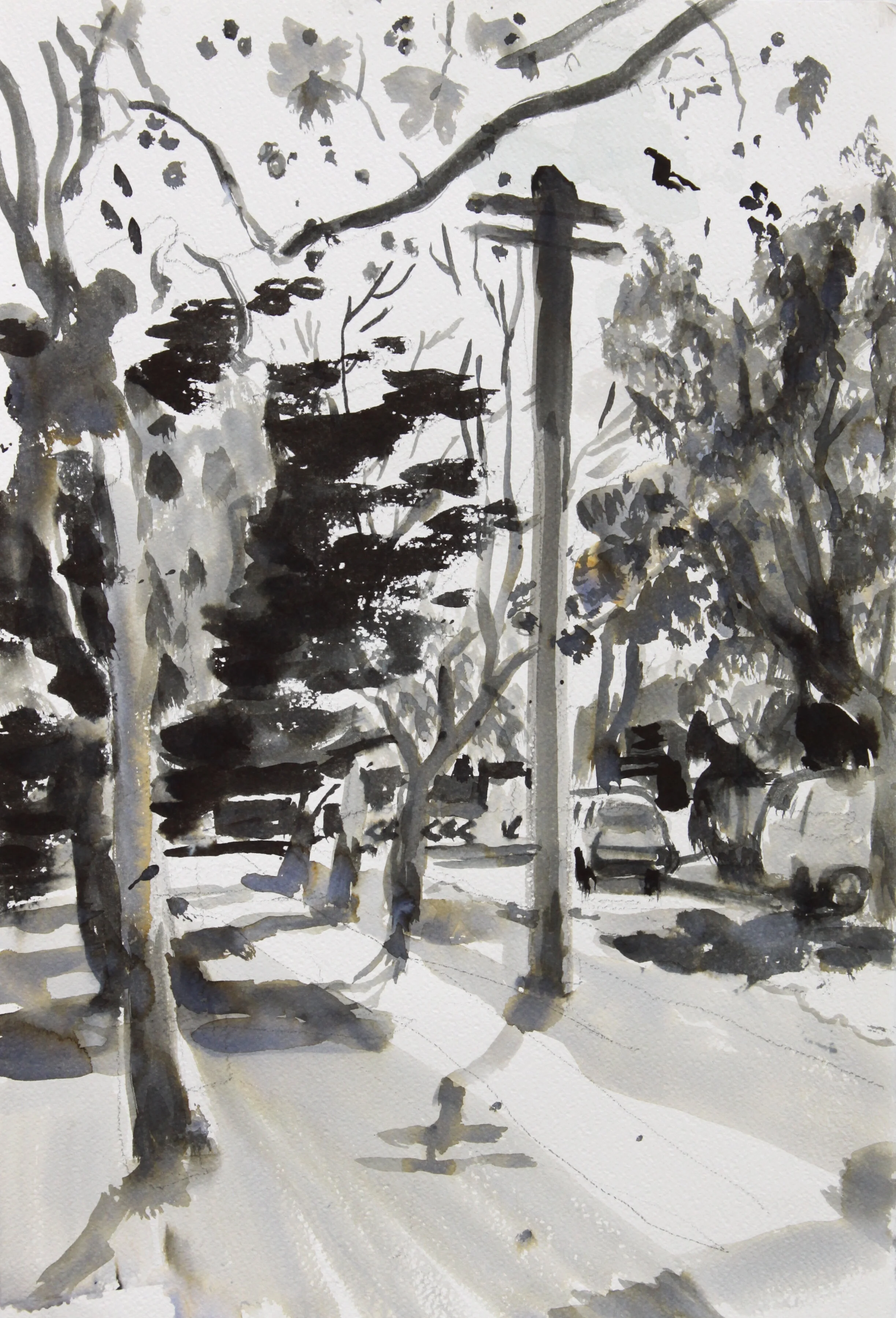 Drawings — Richard Collins