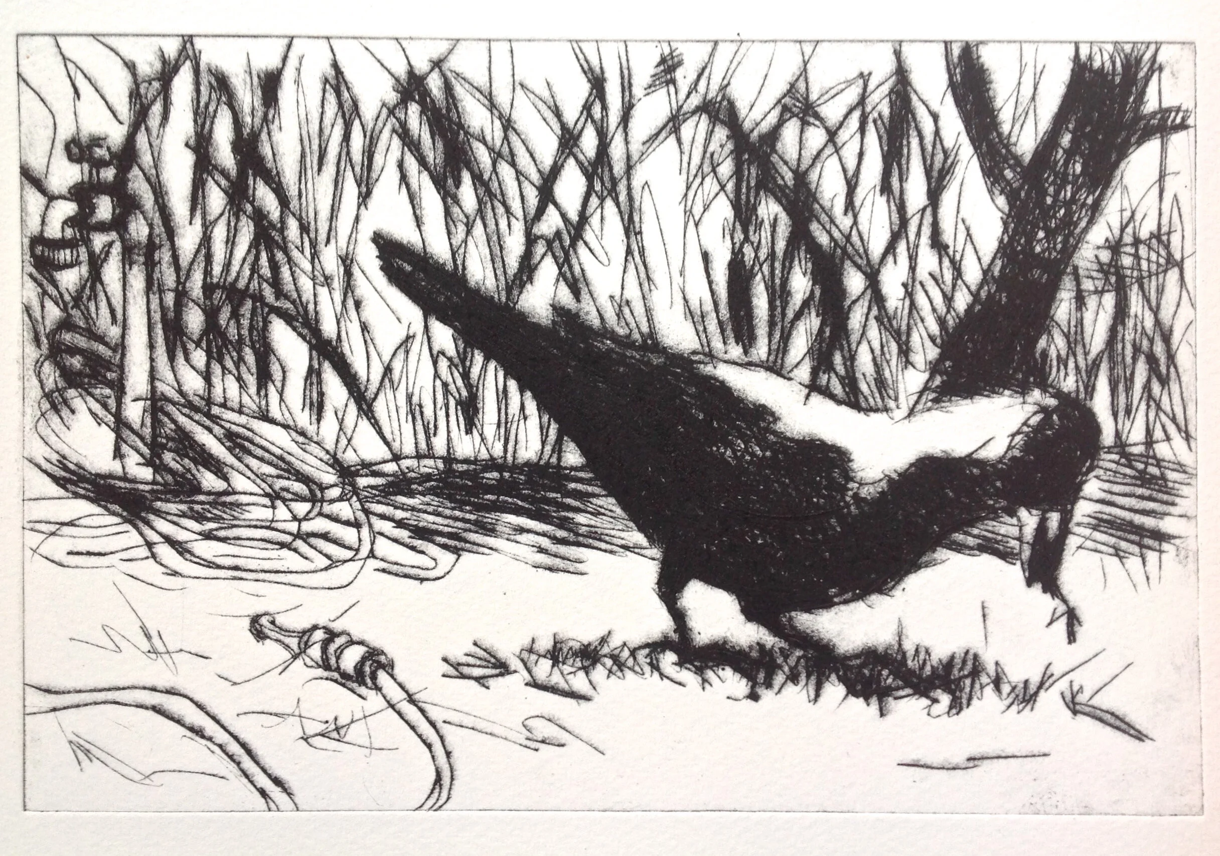 Prints — Richard Collins