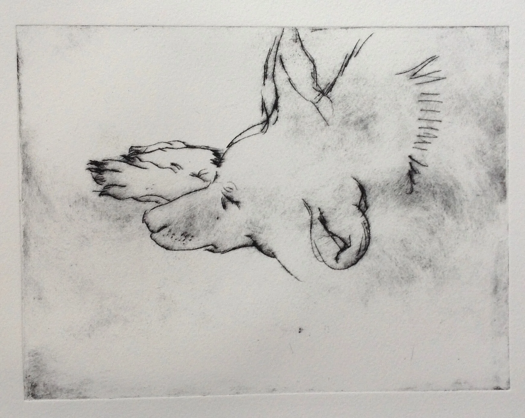 Prints — Richard Collins