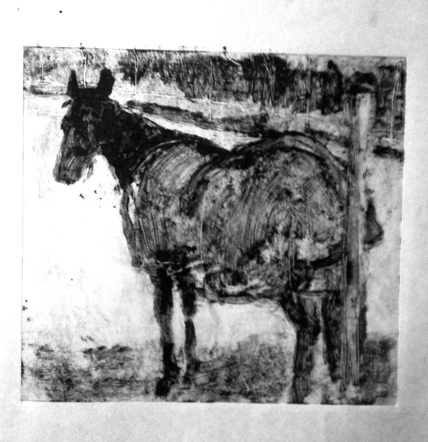 Prints — Richard Collins