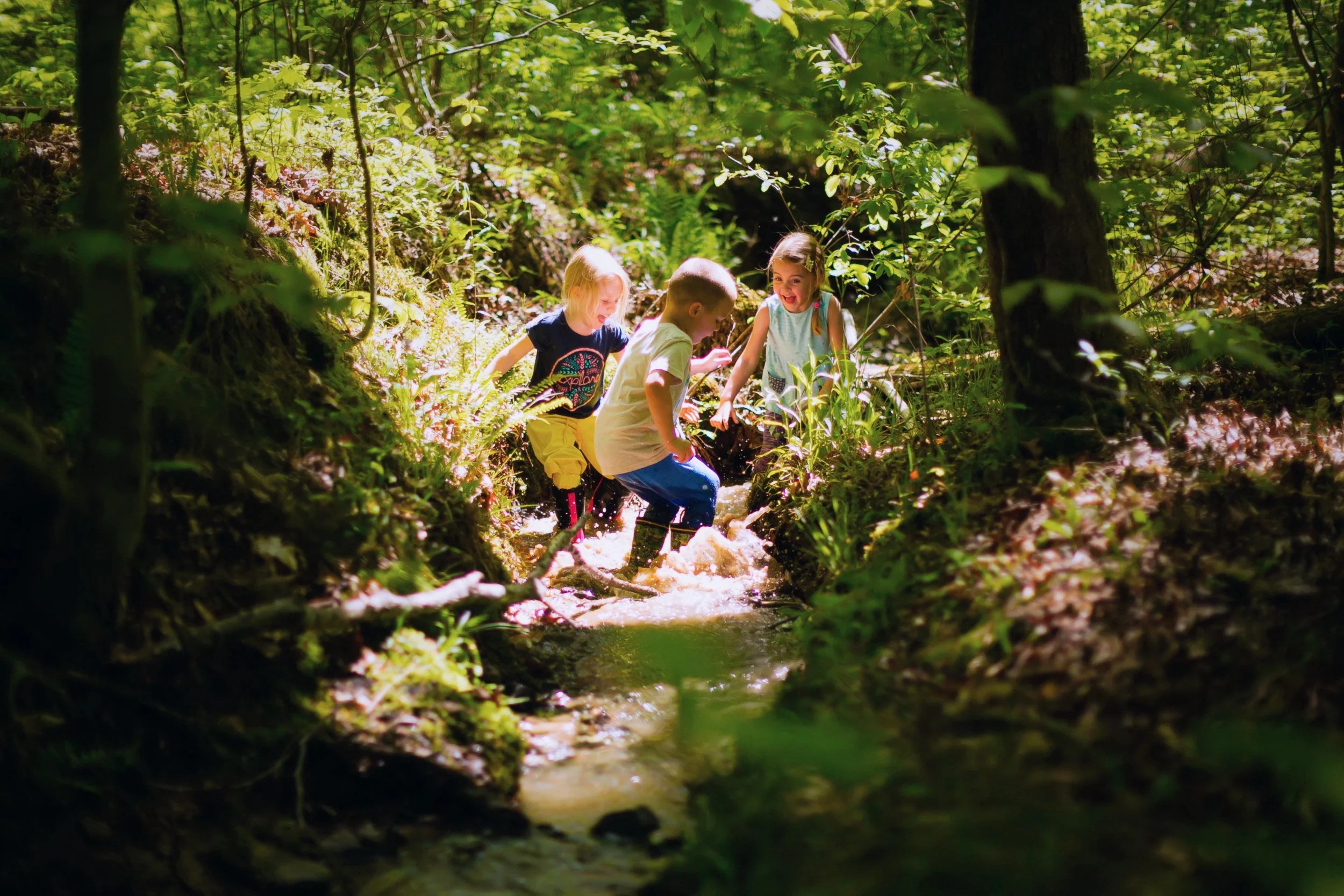 Woodsong Forest School